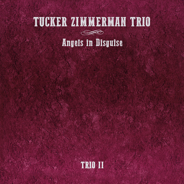 Angels In Disguise - Trio II | Tucker Zimmerman Trio | Tucker Zimmerman