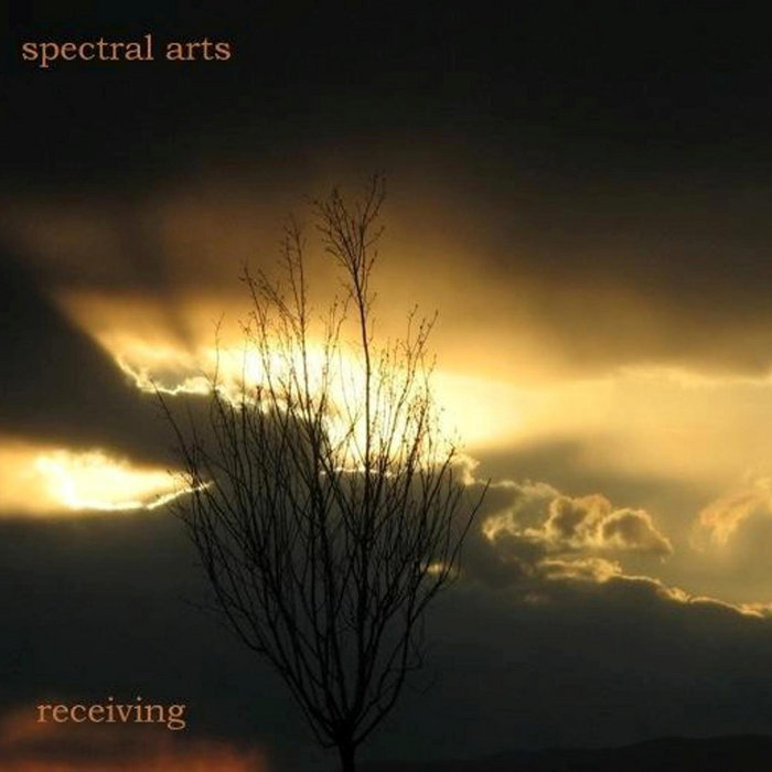 Receiving | Spectral Arts