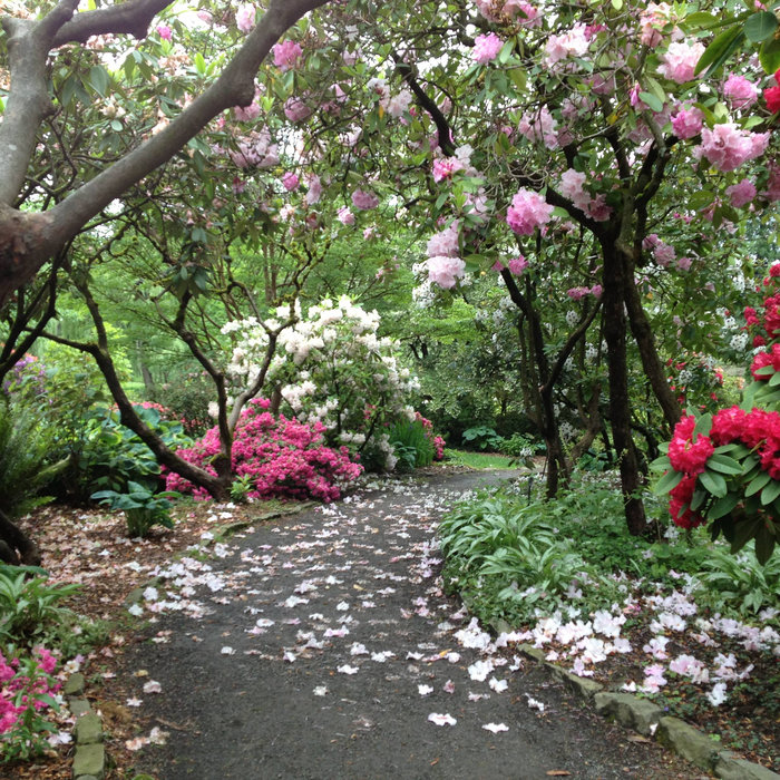 Table For Two | David & Tamara Sharp | David Sharp