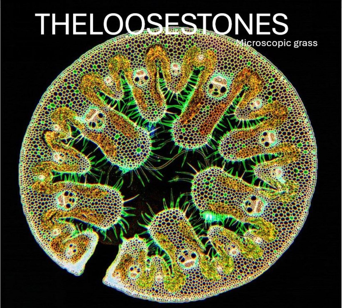microscopic grass | TheLooseStones