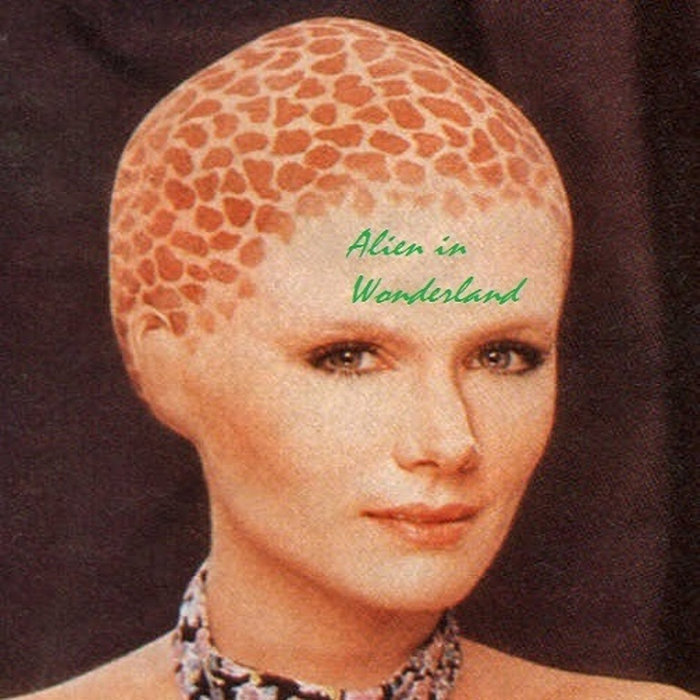 Alien in Wonderland | Alien in Wonderland | Ailanthus Recordings