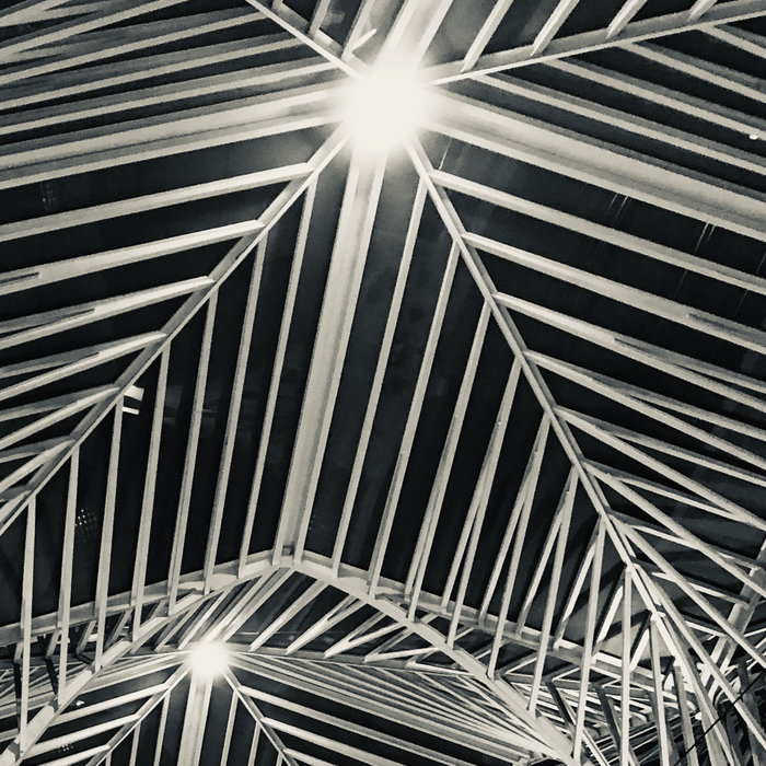 Determined By Varying Proportions | Pholde