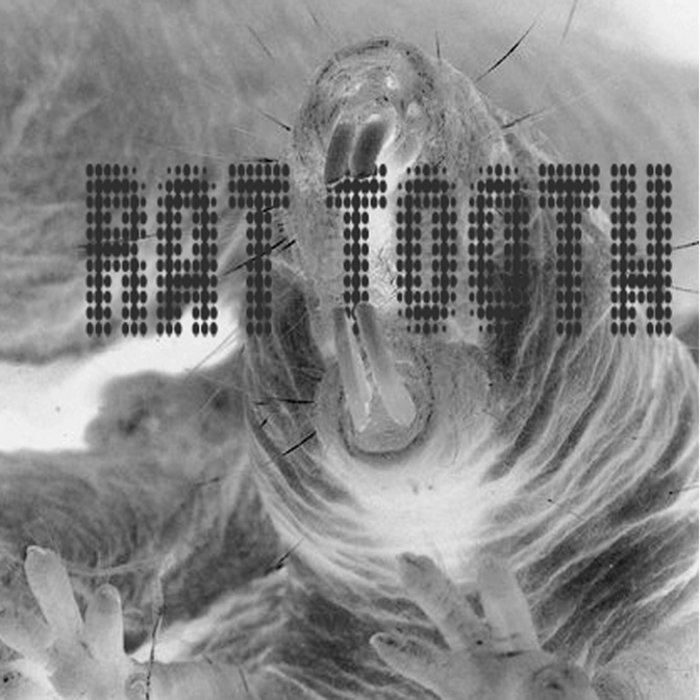 Scrutiny | Rat Tooth