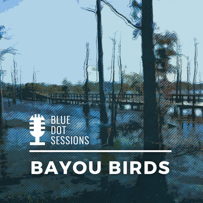 Bayou Birds | Blue Dot Sessions