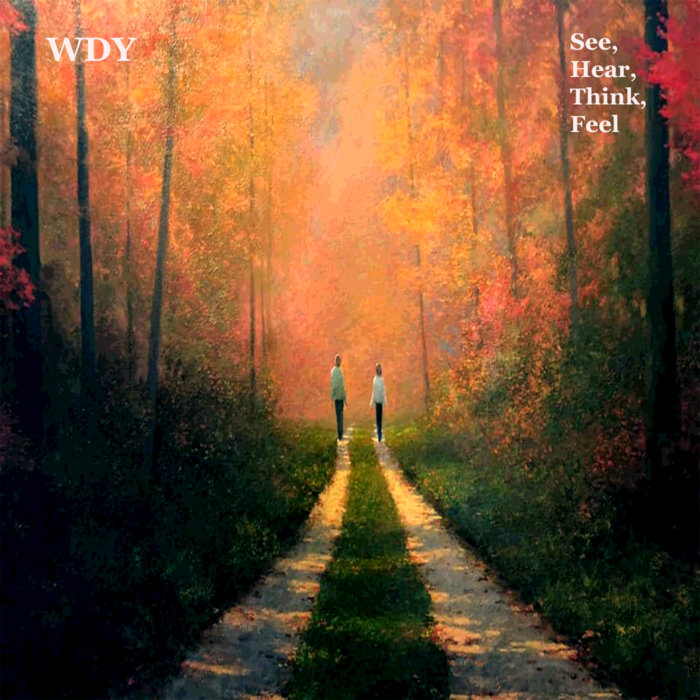 See, Hear, Think, Feel | WDY