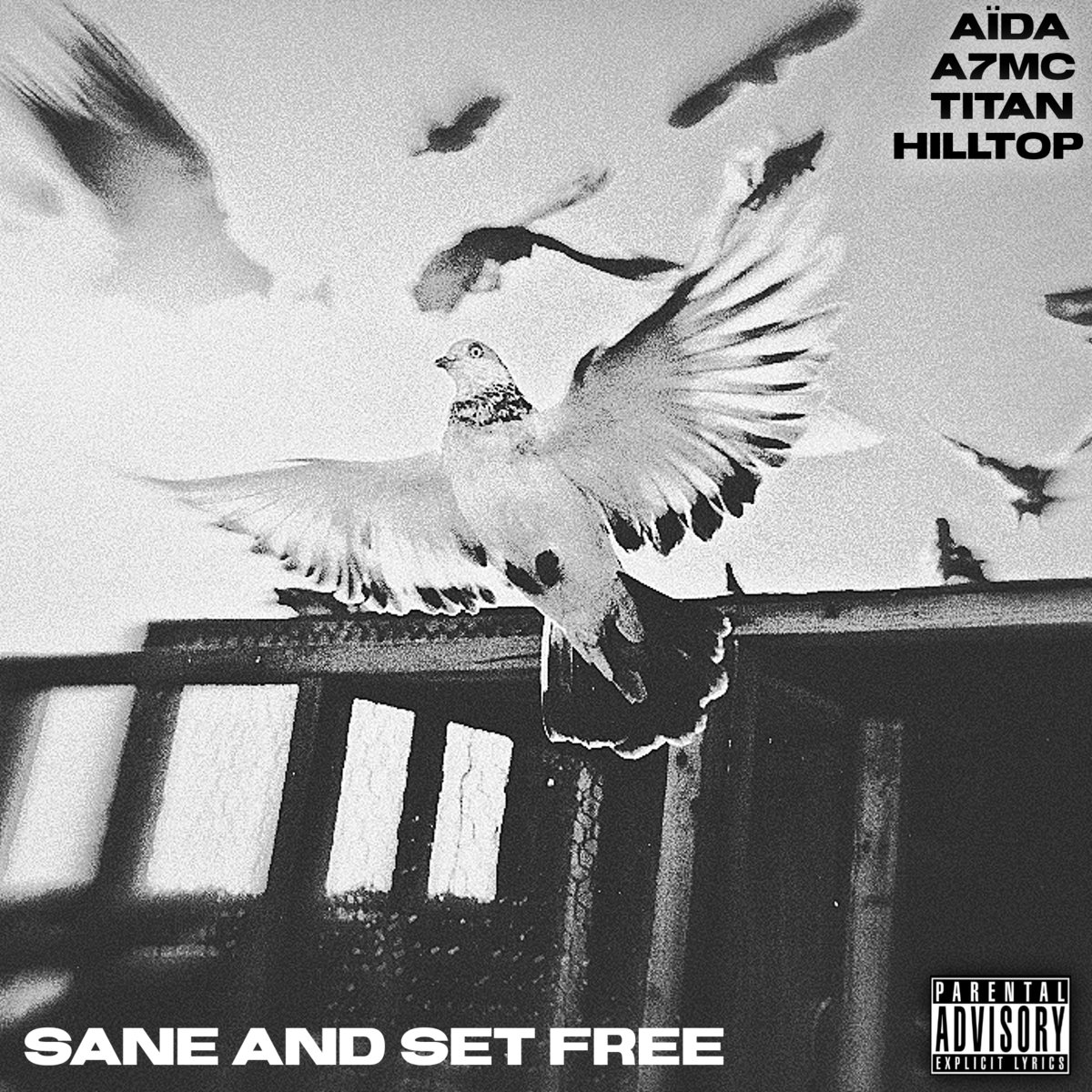 Sane and Set Free | Mike Titan X Hilltop X Aida X A7MC | Mike Titan