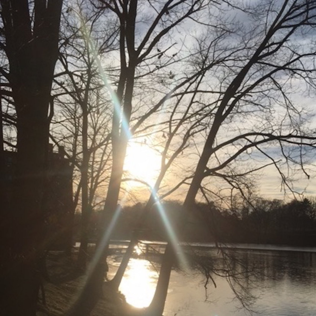 Back 2 Nature | Bstep