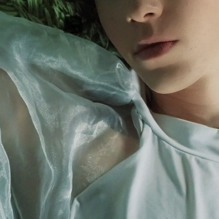 dissimulate (produced by Adam Xycore) | BENJI WOLF