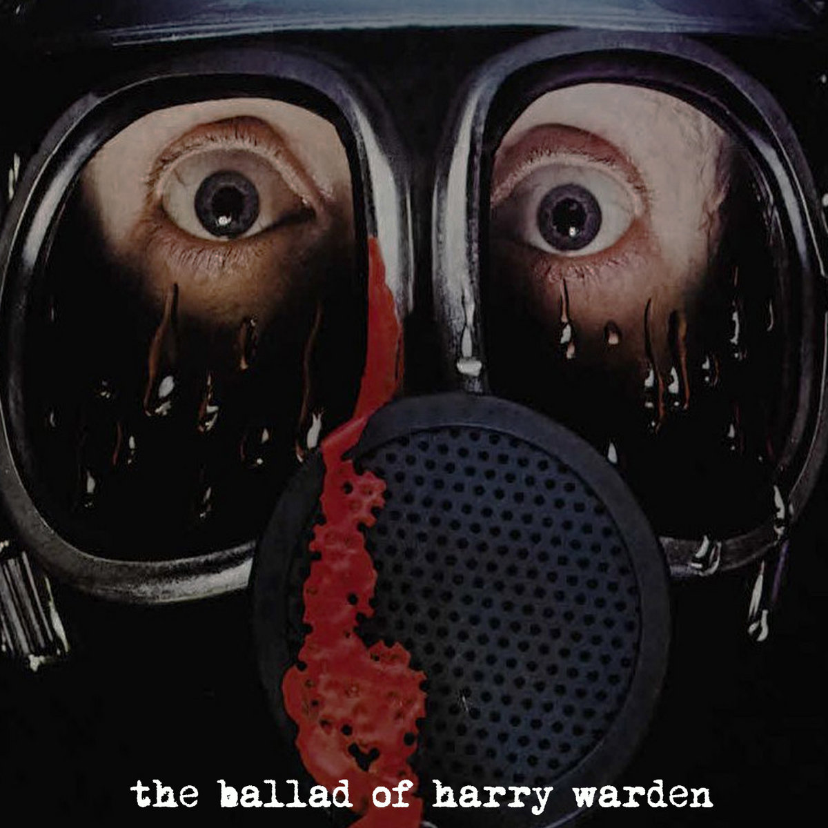 The Ballad of Harry Warden | VHS