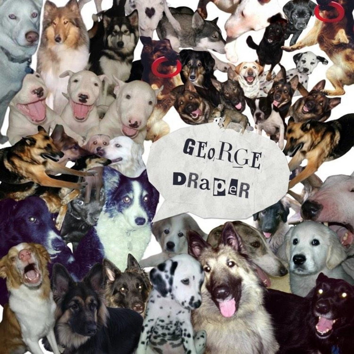 dogs | George Draper