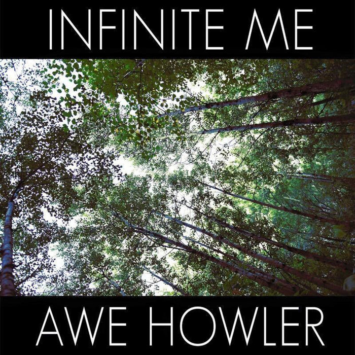 Infinite Me/Awe Howler Split | Awe Howler | a decade of garbage