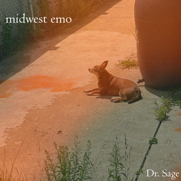 midwest emo | Dr.$age