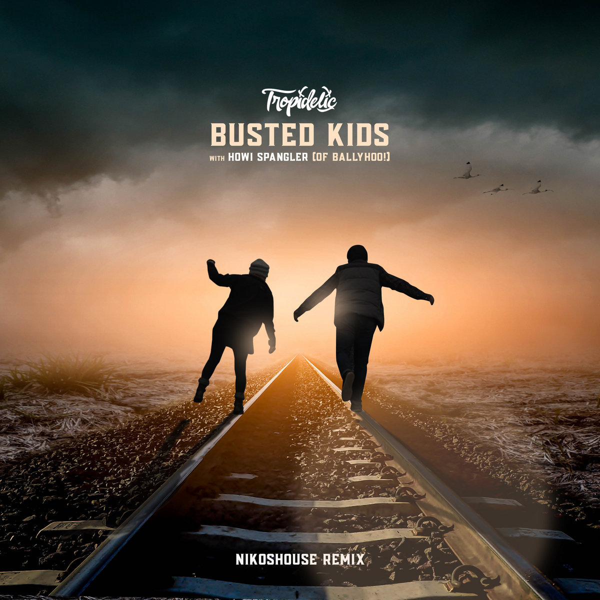 Busted Kids (Nikoshouse Remix) [feat. Howi Spangler of Ballyhoo ...