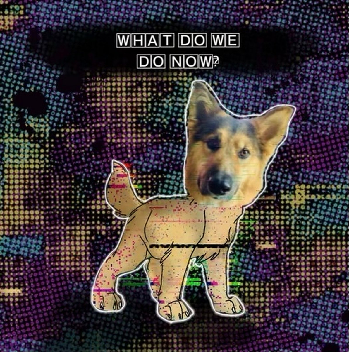 What Do We Do Now | meatghost | Liam Thornton