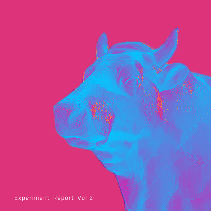 [WL - 028] Experiment Report Vol . 2 | Wataru Naruse | Waveform Laboratory