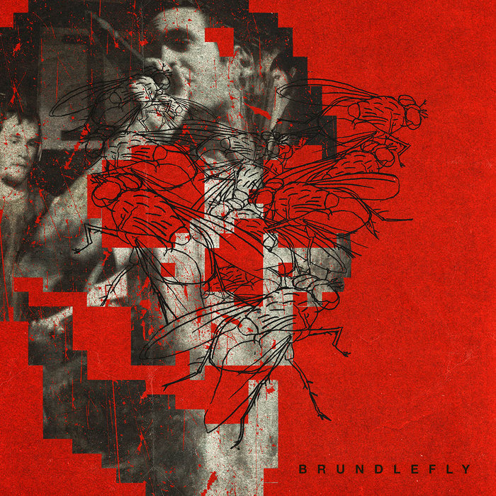 BRUNDLEFLY | BRUNDLEFLY
