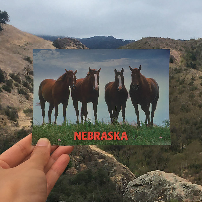 dilleen | andrea schiavelli and frances chang | frances chang