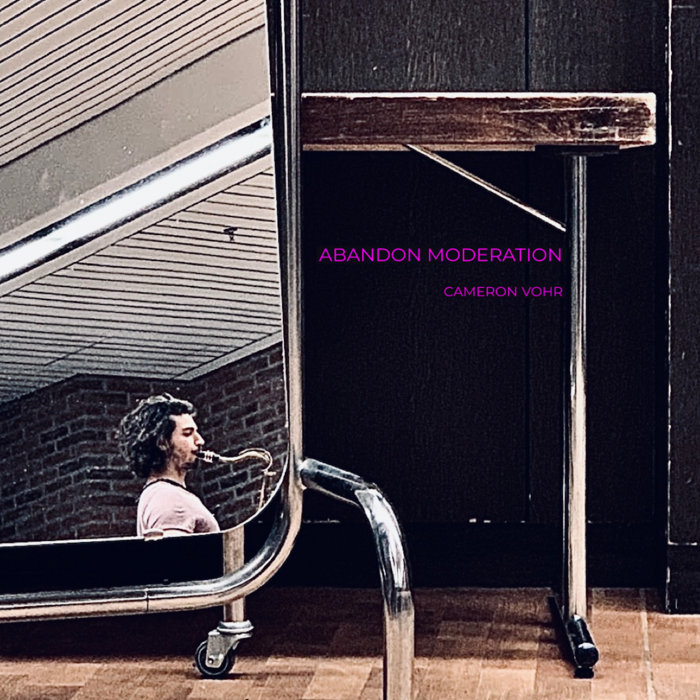 Abandon Moderation | Cameron Vohr