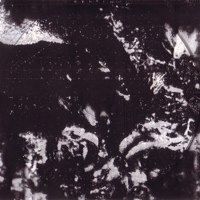 malaria POP - s/t | La délirante