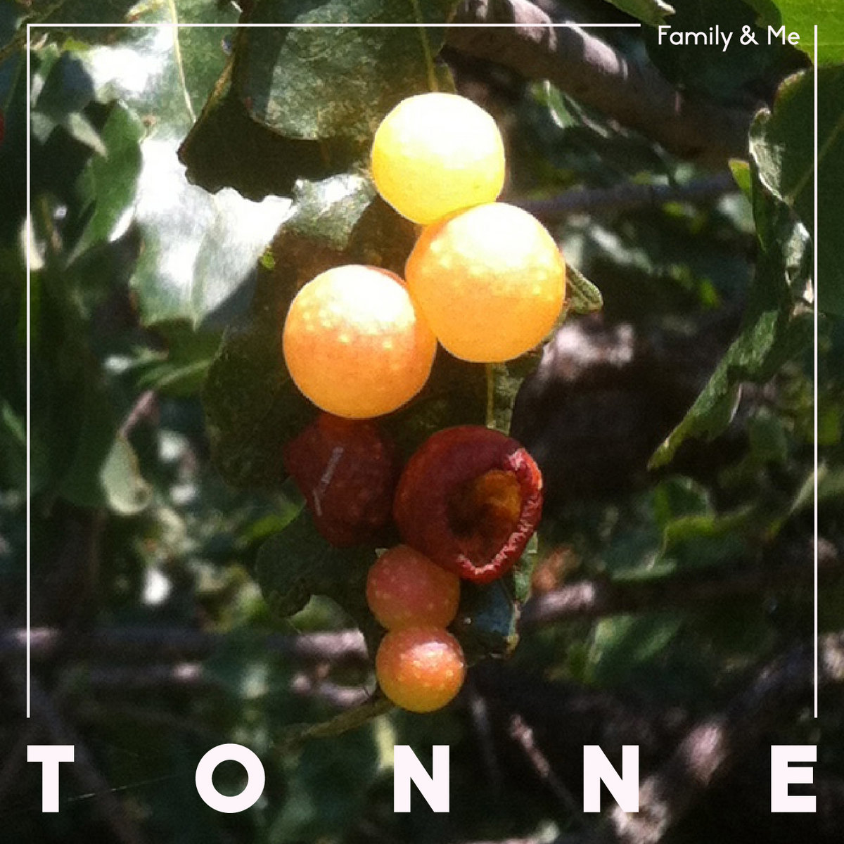 Family & Me | Tonne | TONNE