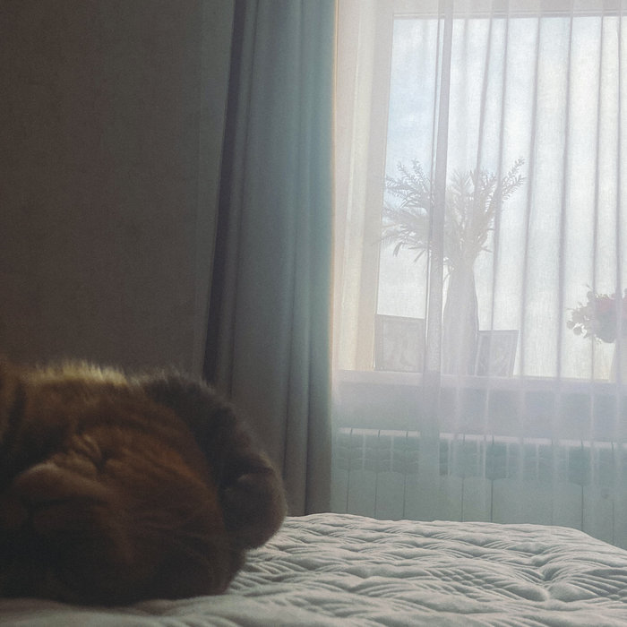 this beautiful life | lurp sheets