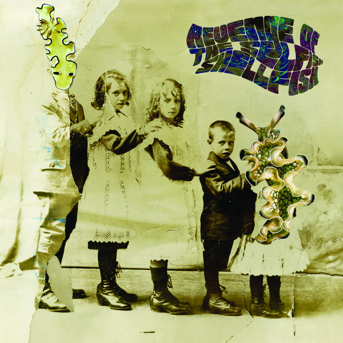 REVENGE OF THE SELFISH SHELLFISH | Steven Stapleton / Tony Wakeford ...