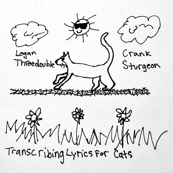 Transcribing Lyrics for Cats | Logan Threedouble / Crank Sturgeon ...