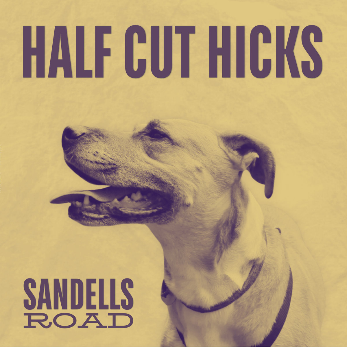Sandells Road | Half Cut Hicks