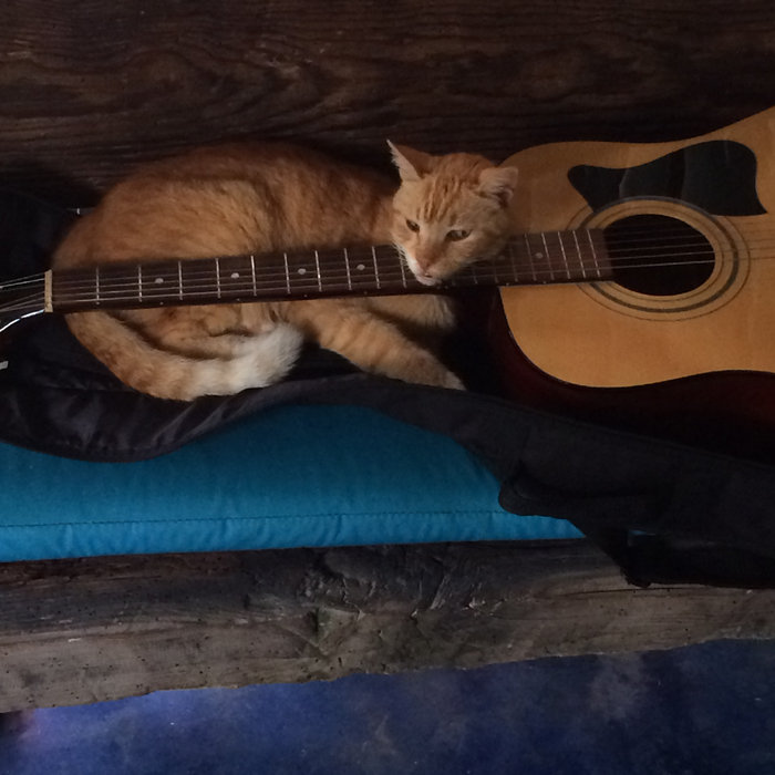 Cat Man Do | Paul Clarke