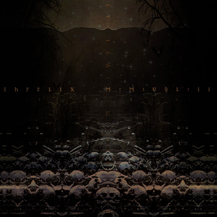 Misanthropic Meditations Volume II: Invocations of Nihility | INFELIX