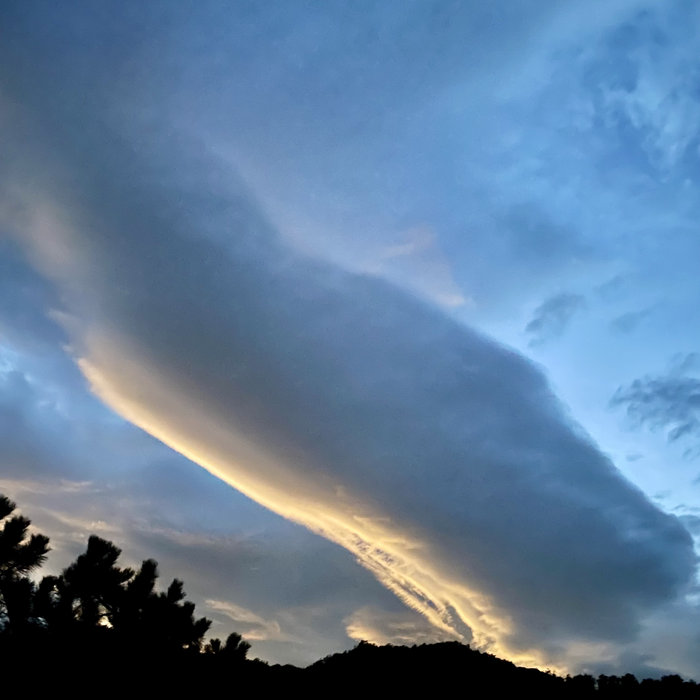 Alfàron y Los Pitucos | Los Pitucos