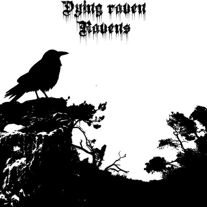 Ravens | Dying raven