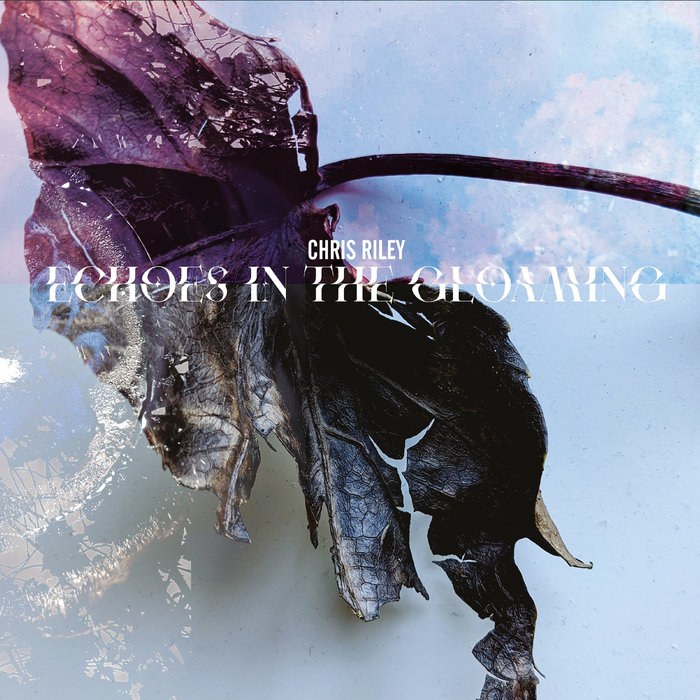 Echoes in the Gloaming | Chris Riley