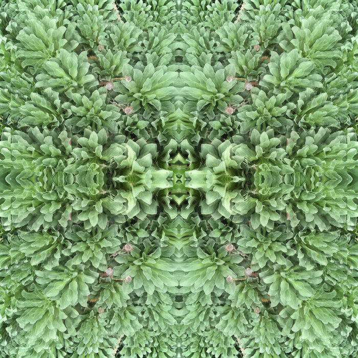 DIMENSIONS | C GEEZY