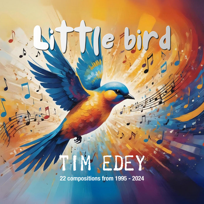 Little bird - 22 compositions 1995-2024 | Tim Edey