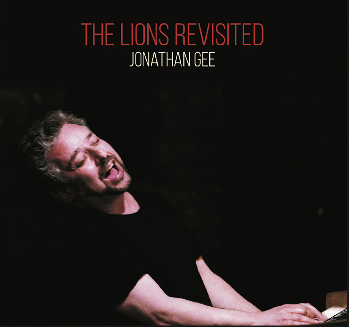The Lions Revisited | Jonathan Gee