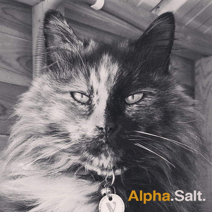 Salt | Alpha