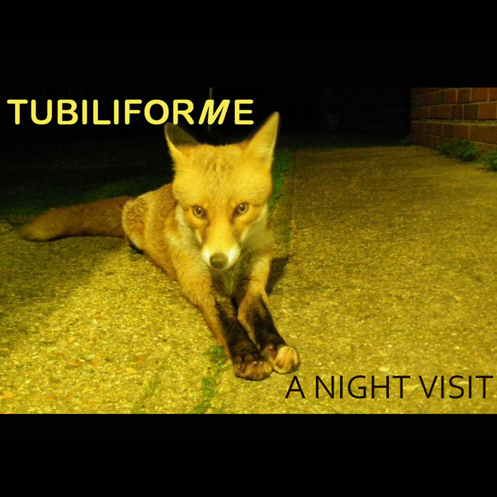 A Night Visit (selected tracks) | Tubiliforme