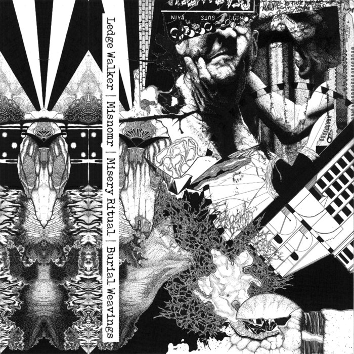 Ledge Walker / Misnomr / Misery Ritual / Burial Weavings split | Ledge ...