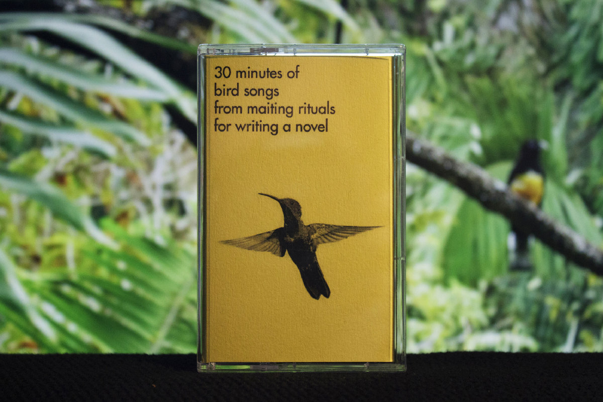 30 minutes of bird songs from mating rituals for writing a novel | 30 ...