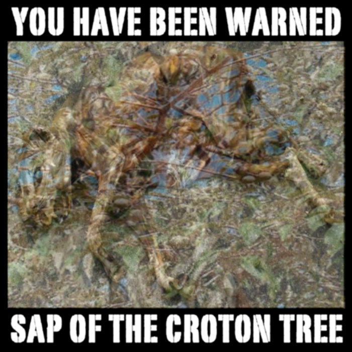 sap of the croton tree | YOU HAVE BEEN WARNED