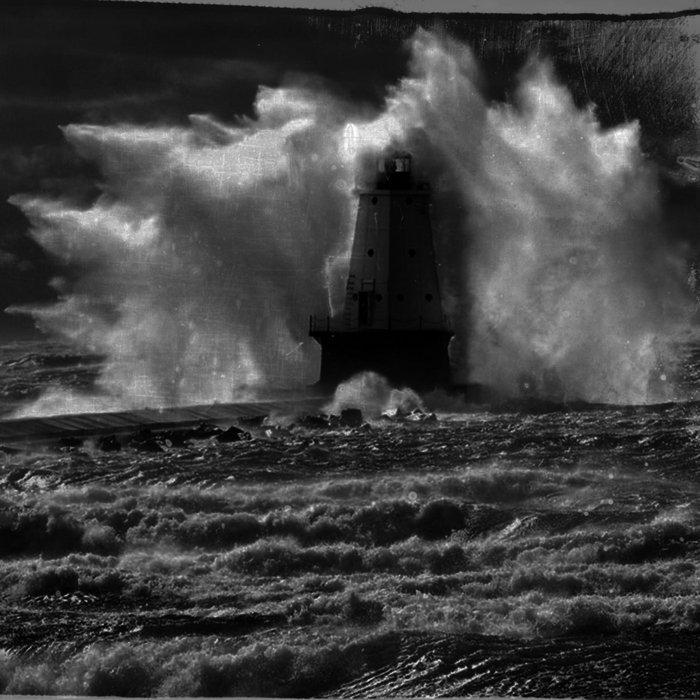 Gray's Reef | Matt Borghi