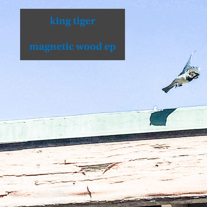 EMCD38 - Magnetic Wood EP | King Tiger | Electromagnetic Compact Discs