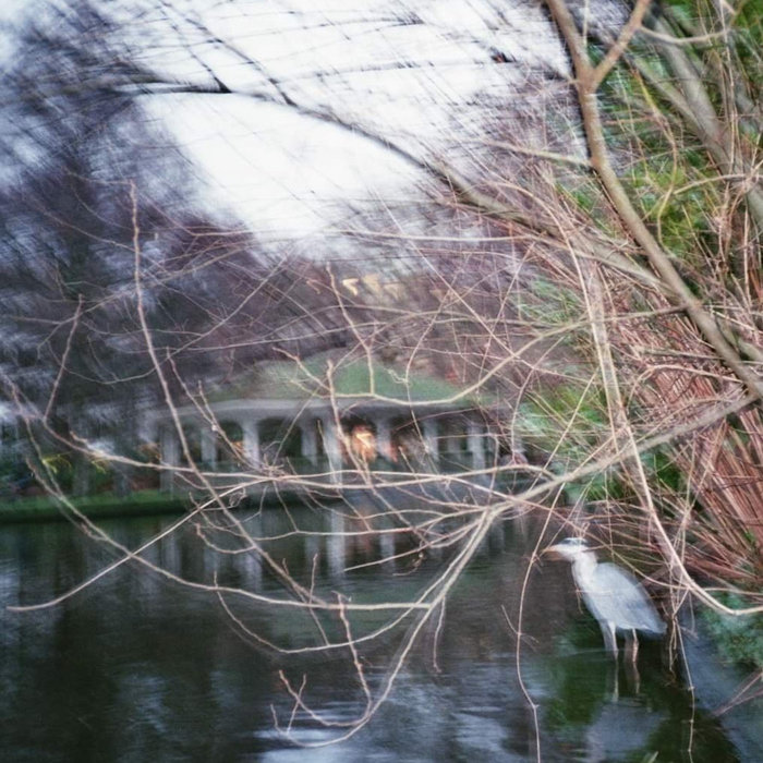 behemoth the cat | behemoth the cat