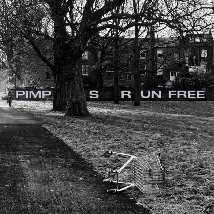Pimps Run Free [SINGLE] | CRUSHED BY PIMPS