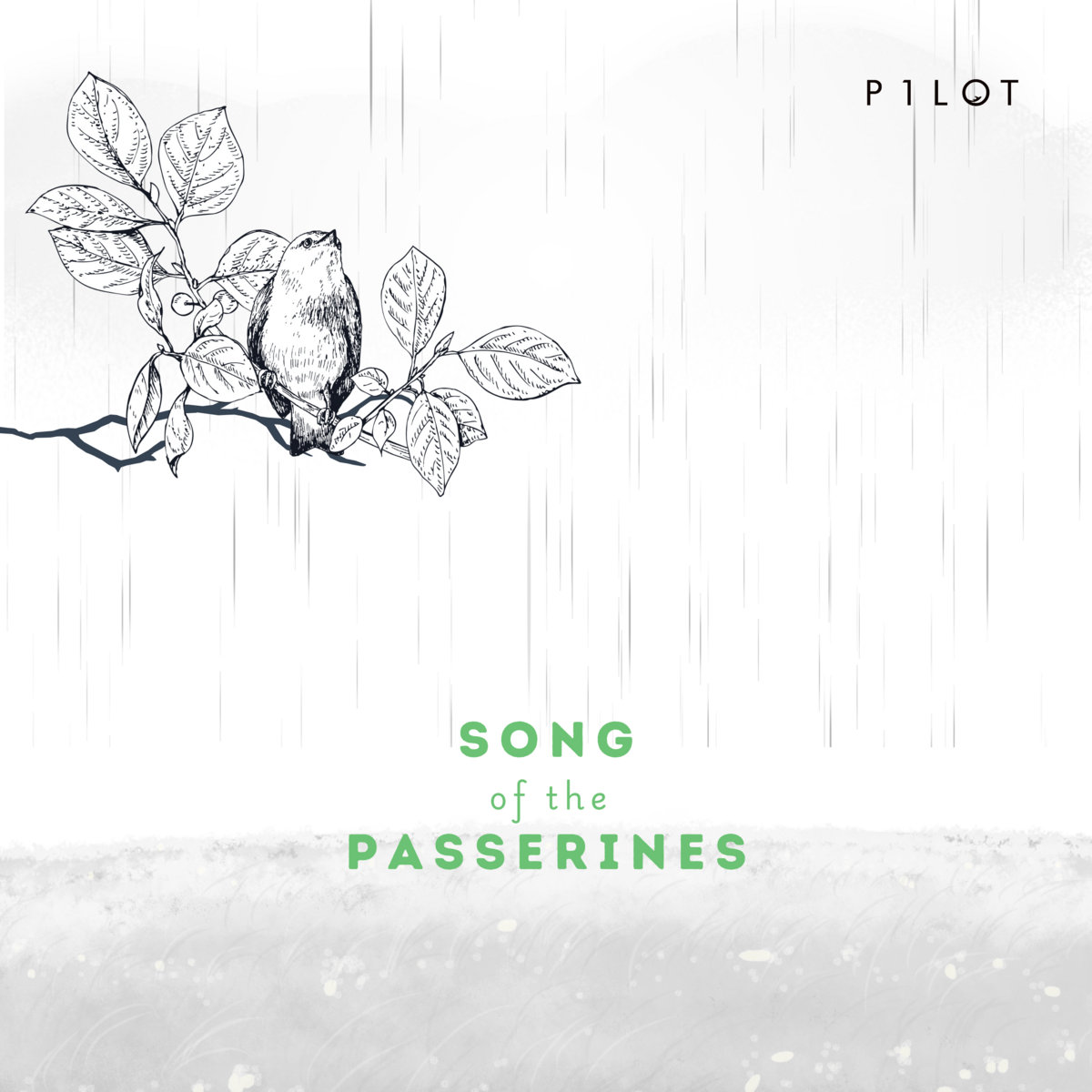 Song of the Passerines (w/digital download of lyric book) | P1LOT