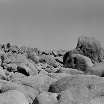 Music | Joe Caracciolo