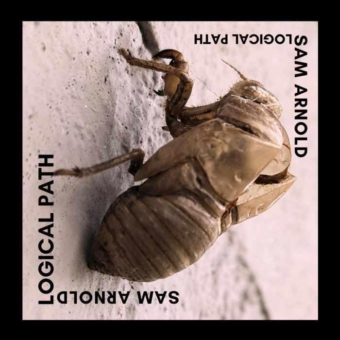 Logical Path | Sam Arnold