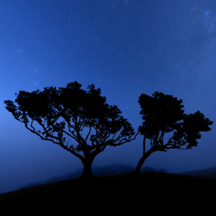 Duality | Sappheiros