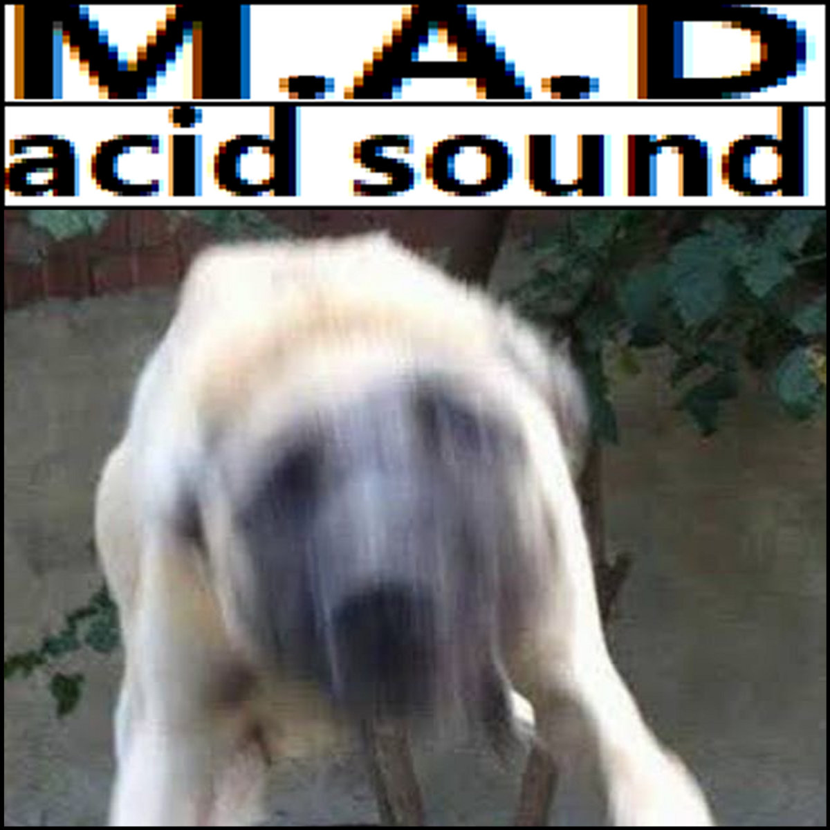 Acid Sound | M.A.D